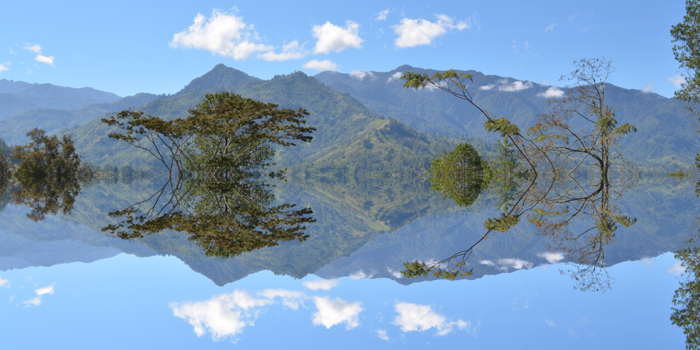 News - Tininga Limited