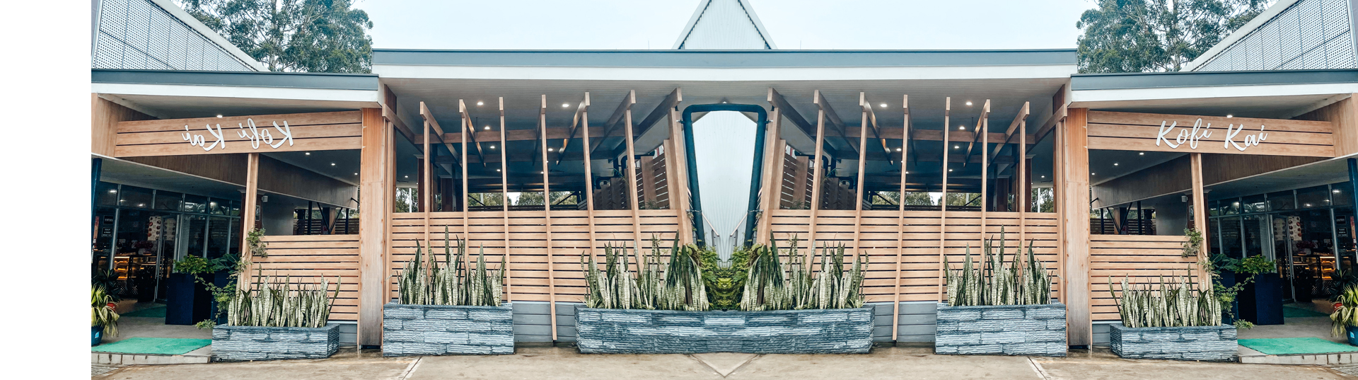 Kofi Kai - Tininga Limited